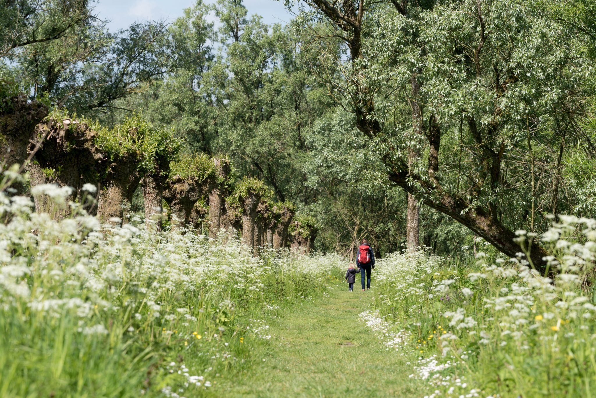 Het beschermen van de natuur | omgevingsdienst | OZHZ
