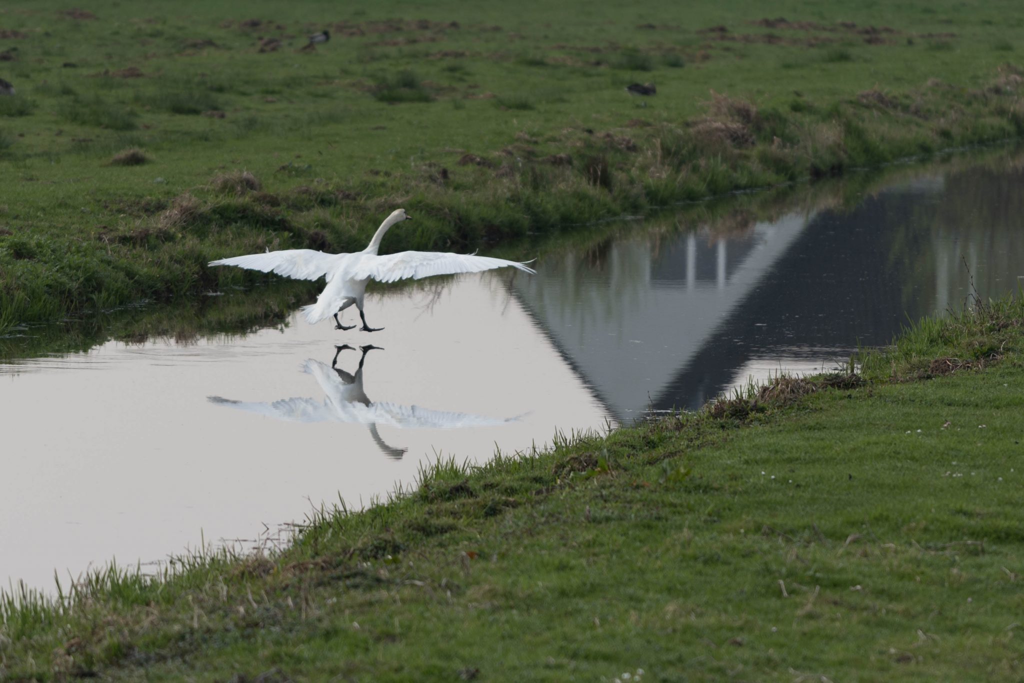 Veel vragen over zwem- en slootwater rondom Chemours - OZHZ